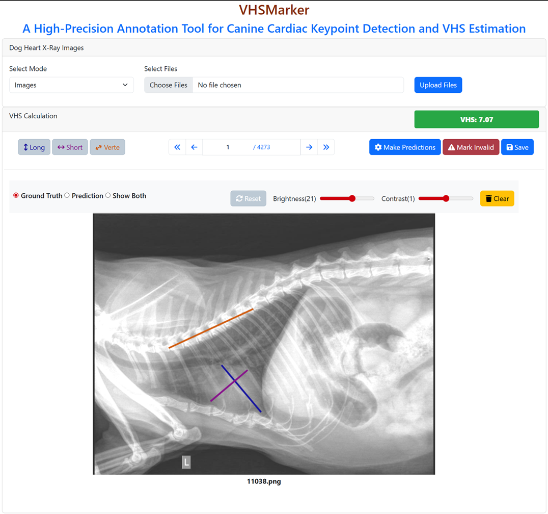 VHSMarker: A High-Precision Annotation Tool for Canine Cardiac key ...